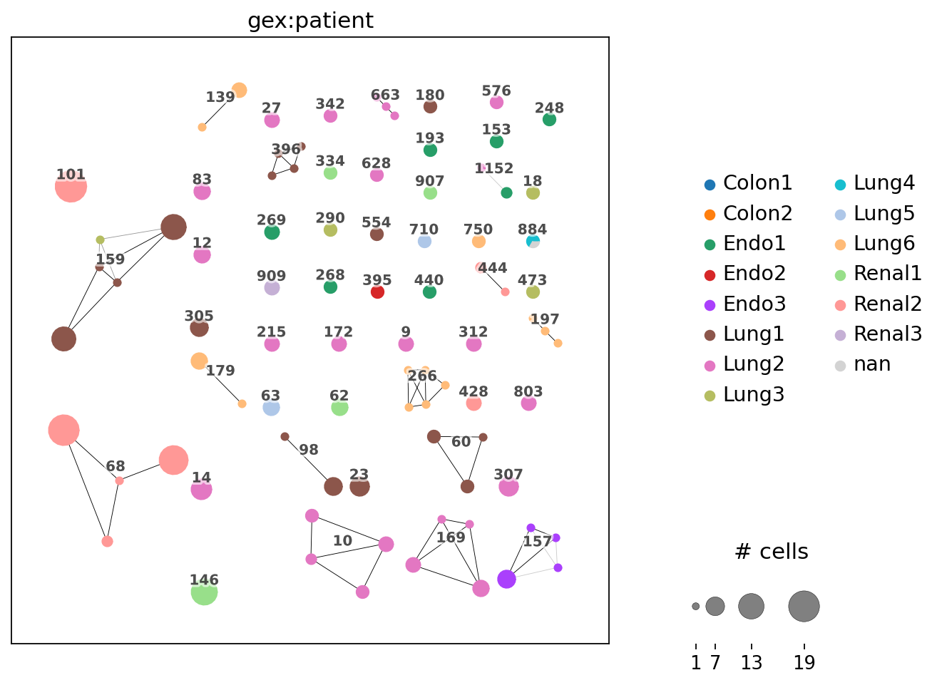 Single cell AIR and RNA multiomics Analysis — Bioinfozone - Easy way to learn Bioinformatics