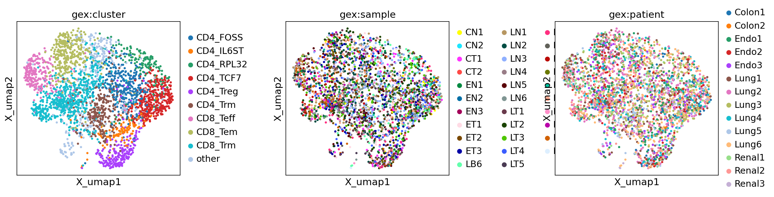 Single cell AIR and RNA multiomics Analysis — Bioinfozone - Easy way to learn Bioinformatics